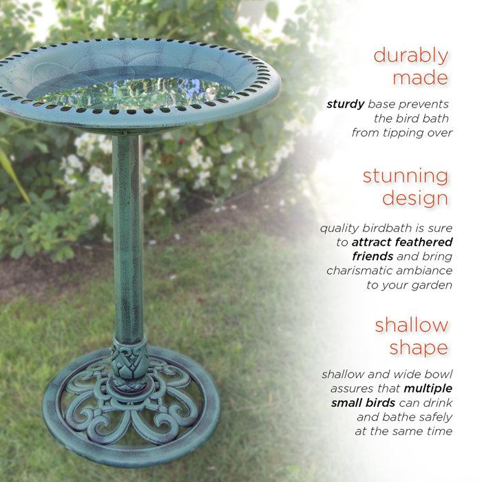Ophelia & Co. Colley Plastic / Acrylic Pedestal Birdbath & Reviews | Wayfair